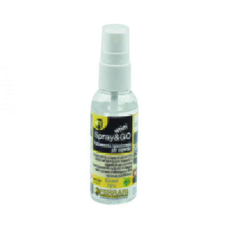 Spray&Go Desinfectante 50 ml - Idrhaus