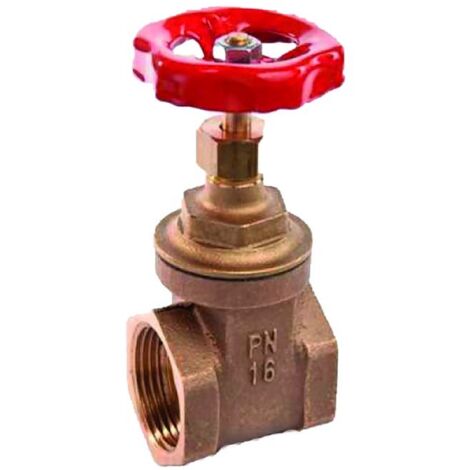 Pn16 Messing-Absperrschieber 2"1/2 FF int.63 mm