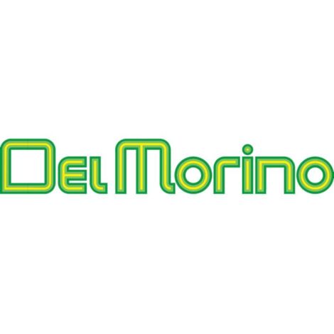 Ecrou M16 Uni 5589 Delmorino 40200160