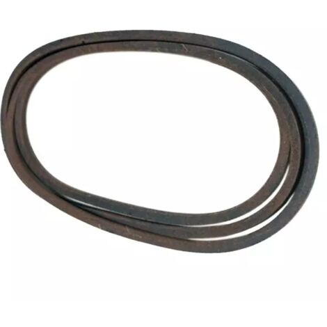 Correa variador caja de cambios/Transmisión 75404033A