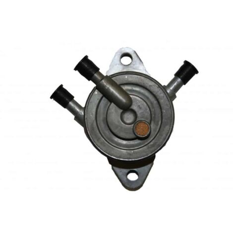 Bomba de gasolina metálica motor Briggs et Stratton, 491922, 808656, 692026