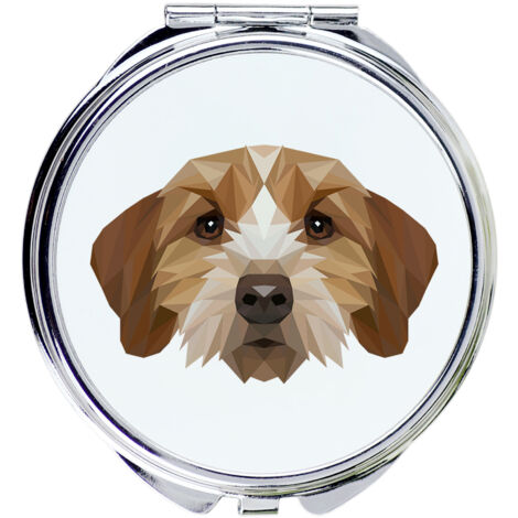 Basset Breton, Basset Fauve de Bretagne - specchio con foto e ...