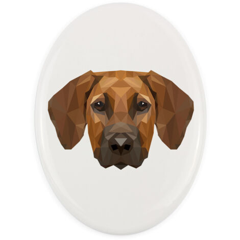 Rhodesian Ridgeback, cane leone africano - Piatto fotografico ...