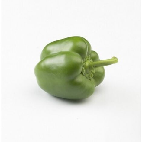Peperone verde dolce 5 kg - spagnolo, classe II