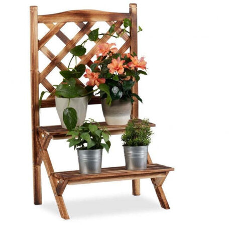 Scale di fiori bruciati con traliccio