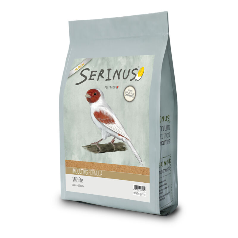SERINUS White Moulting 5 kg