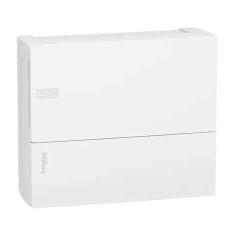 Schneider Mini Pragma 1 rangée coffret en saillie avec porte opaque 12
