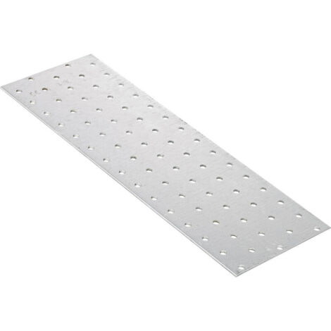 Plaque perforée 300x100x2.0 mm (Par 10)