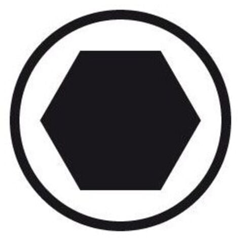 Clé allen 22 mm FORTIS