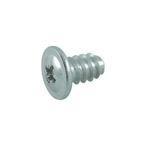 Vis de fixation 46700 zingué.63x14mm