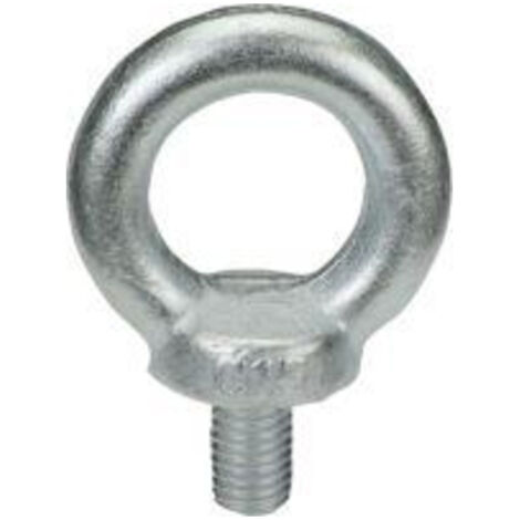 DIN 580 C15E galZn M16 HP PU 25