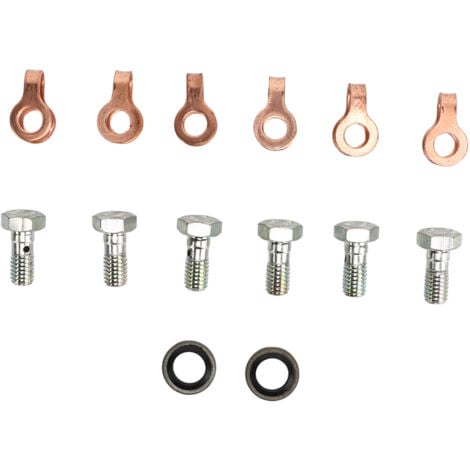 Ej.Life Hohlschraubensatz für Kraftstoffrücklaufleitung 3905307, Ersatz ...