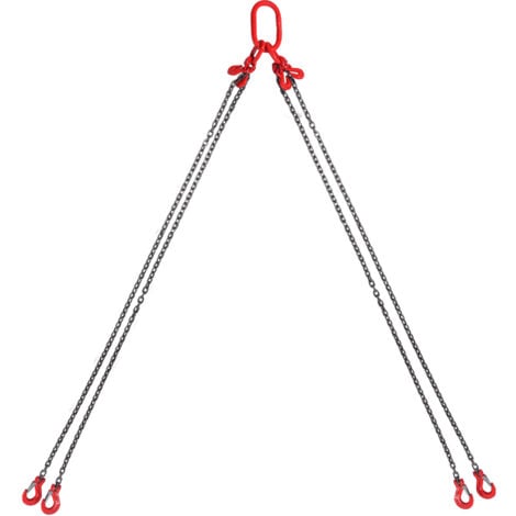 Mophorn Chain Sling, 1/4 inch x 5 ft Lifting Chains with Hooks, G80 ...