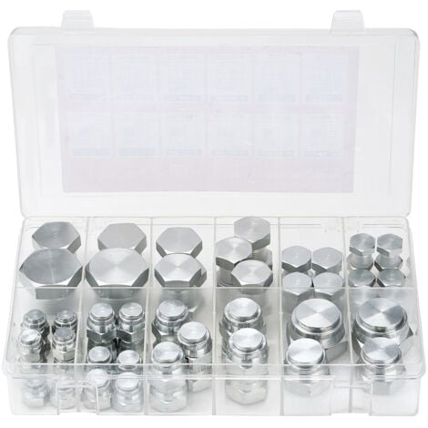 Mophorn 64 PCS BSPP Hydraulic Fittings Kit, Galvanized Steel Hydraulic Cap & Plug with Precision ...