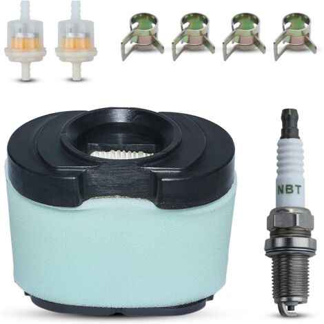 LinDuxe Filtre à air 792105 + filtre à huile 492932 pour moteur 593240 ...