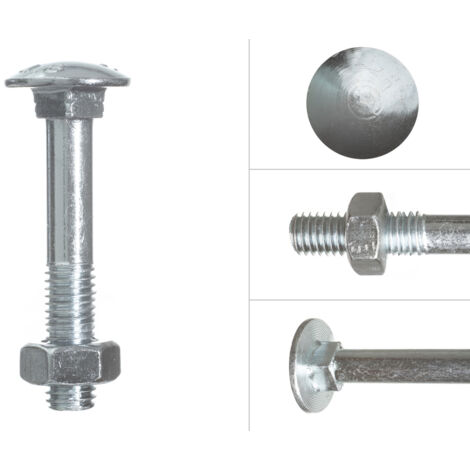 Boulon TRCC galvanisé M10 x 60 mm - 100 pièces