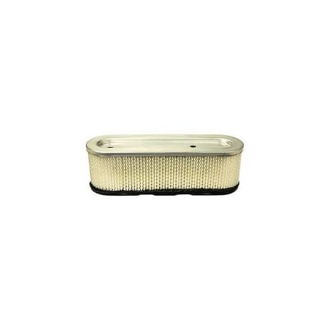 Filtro aria 399806s , 399806, 491519 per motore tosaerba briggs & stratton