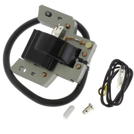Bobina d'accensione 796964 per motore tosaerba briggs & stratton