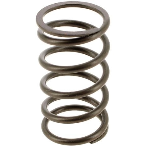 Molla del pistone per idropulitrice ryobi