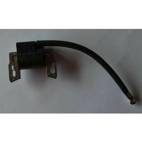 Bobina di accensione Ulisem Briggs & Stratton 797040, alta tensione per accensione.