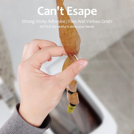 Potente rodillo para moscas, papel matamoscas, tablero matamoscas ...