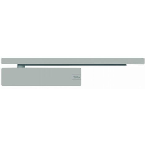 Cierrapuertas DORMA TS 98 XEA - Paquete completo Plata - 44110301