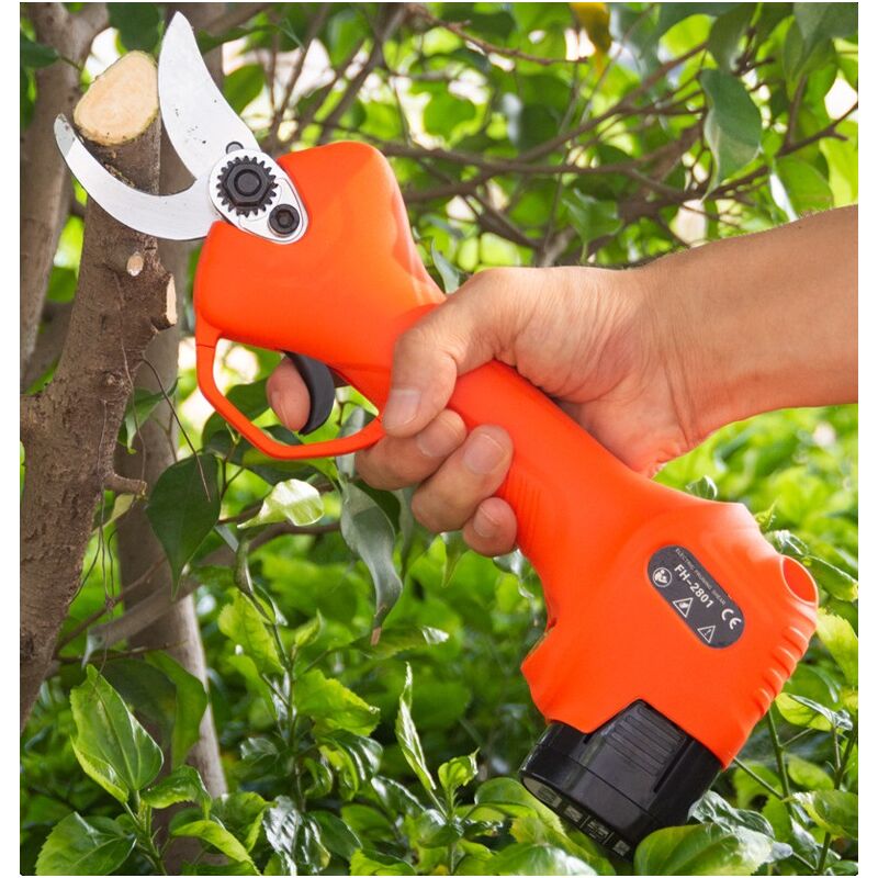 Electric garden pruning shears store