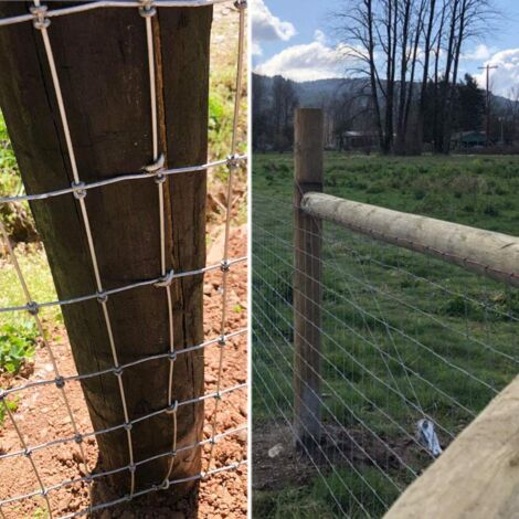 U Nail for Wire Mesh 500g (Approximately 350 pieces), 25mm Galvanized ...