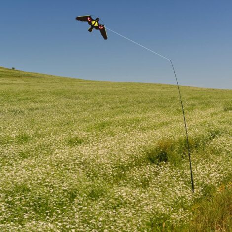 Bird Scarer Flying Kite Crops Farm Protector Bird Hawk Flying Kite