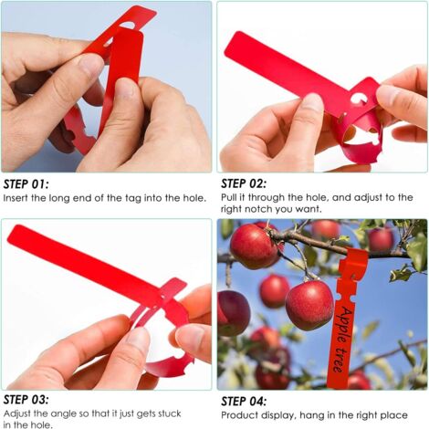 Garden Plant Labels, 300 Pack, Fruit Tree Labels, Seedling Labels ...