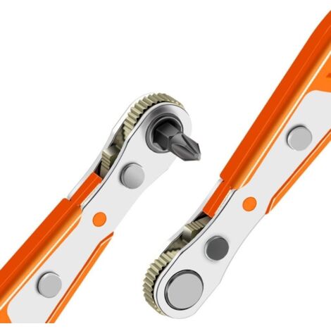 11-teiliger Bitsatz, bestehend aus 10 Bits und 1 Mini-Ratsche