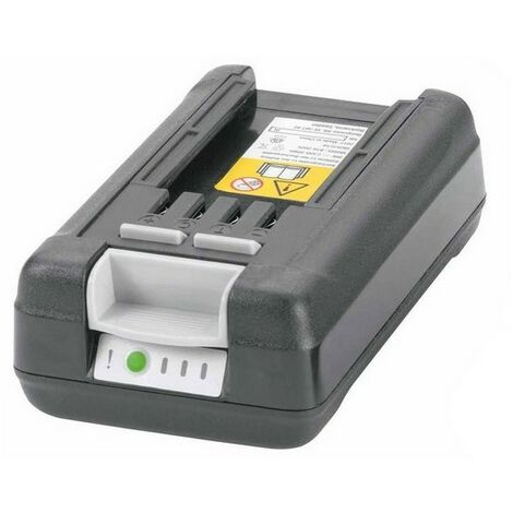 Batterie C-LI 20V taille haies, coupe bordures et souffleur Flymo C-link