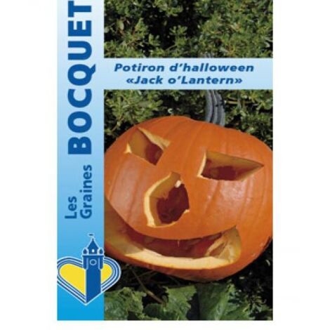 Potiron 'Jack O'Lantern' le sachet de 20 graines environ (3g)