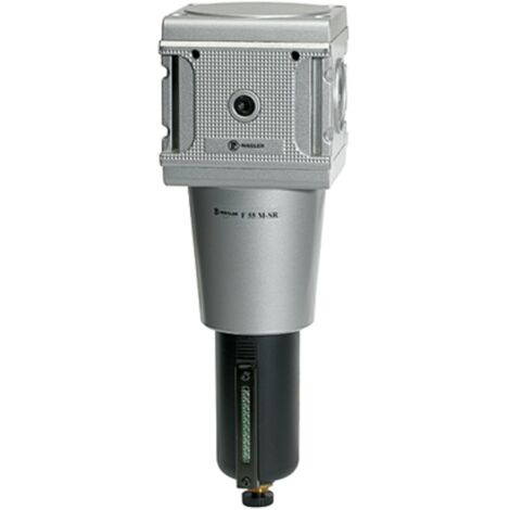 Riegler Filter »multifix«, Metallbeh. u. Sichtrohr, 40 µm, BG 5, G 1, HA