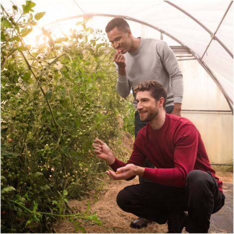 STIER Crew Sweat Style Print L Deep Red