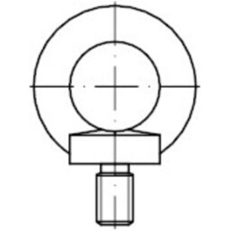 DIN 580 Ringschraube, Edelstahl A2 M20 HP 5 Stk