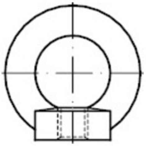 DIN 582 Ringmutter, C15E M24 HP 10 Stk