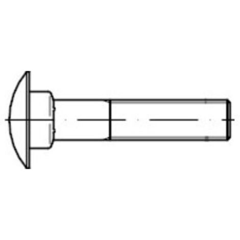 DIN 603 Flachrundschraube mit Vierkantansatz, ohne Mutter Edelstahl A4 M10x30 HP 100 Stk