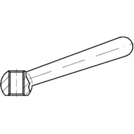 DIN 99 A2 N100 M12 geneigt m. Gewinde HP 10 Stk