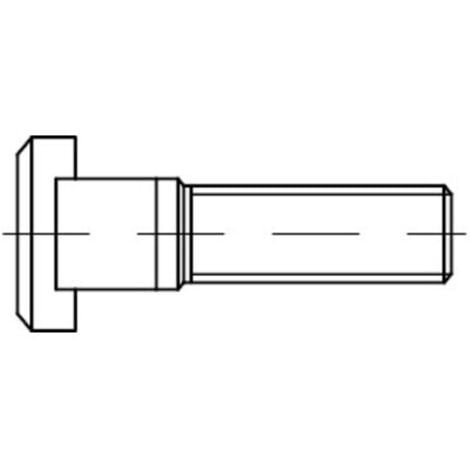 DIN 787 T-Nutenschraube, 8.8 20M20x125 HP 5 Stk