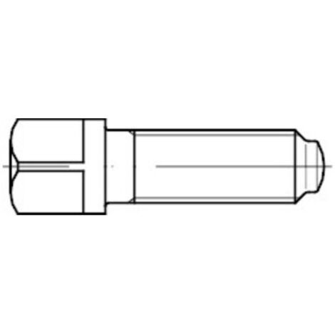 DIN 480 Vierkantschraube mit Bund und Ansatzkappe, 10.9 M16x60 SW17 HP 10 Stk