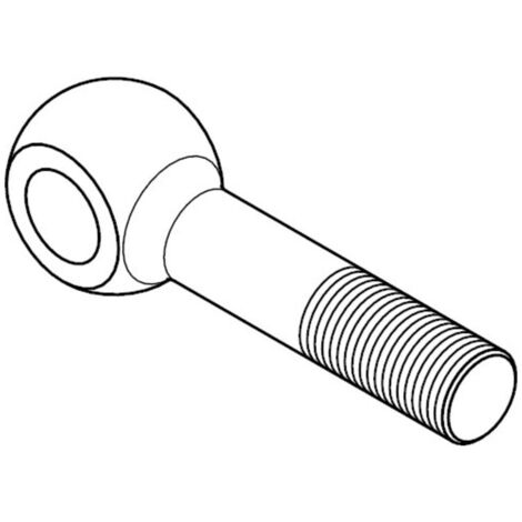 DIN 444 Augenschraube, Edelstahl A4 B M24x80 HP