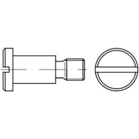 DIN 923 Flachkopfschraube mit Schlitz und Ansatz, ohne Freistich, Edelstahl A1 M5x5 HP 100 Stk