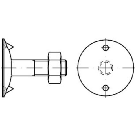 DIN 15237 Tellerschraube mit Tellerscheibe, mit Mutter, Mu 3.6 M8x30 HP 0 100 Stk
