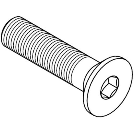 ISO 10642 Senkschraube mit Innensechskant, Edelstahl A4 M24x55 HP