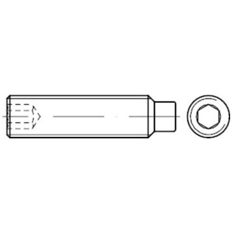 ISO 4028 Gewindestift mit Zapfen und Innensechskant, Edelstahl A4 M8x12 ...