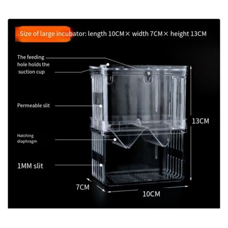 Bettas Fish Tank Breeding Isolation Box Hatching Incubator