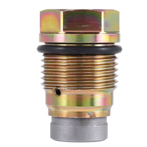 1110010015 1110010017 1110010018 1110010028 Fuel Rail Pressure Valve ...