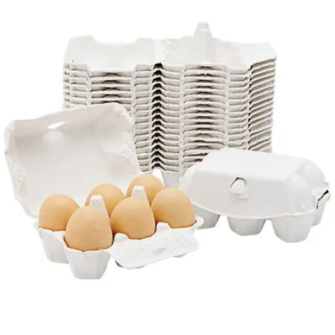 40 Pieces Paper Egg Cartons for Chicken Eggs Loose Pulp Fiber Holder ...