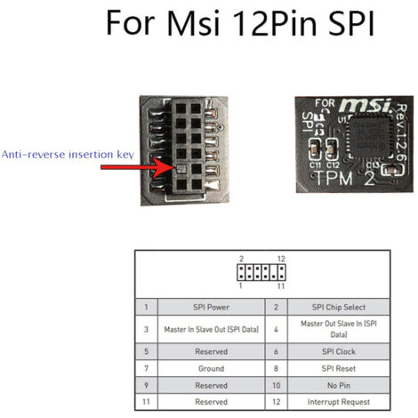 TPM 2.0 Encryption Security Module Remote Card 12 Pin SPI TPM2.0 for Motherboard